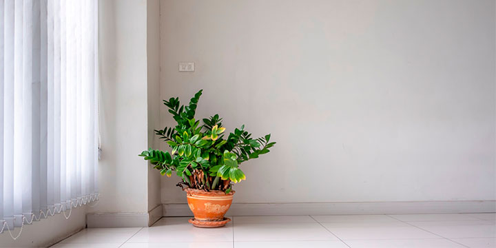 MINIMALISMO - SUPERSIANA